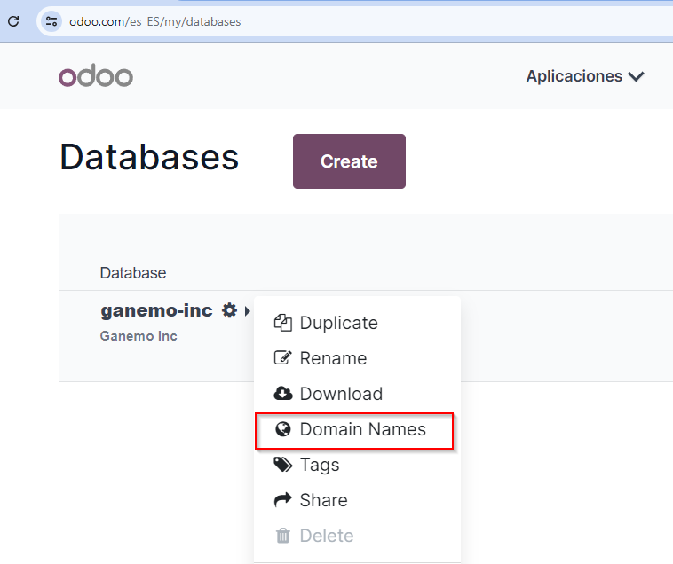 Cómo usar mi propio dominio Odoo
